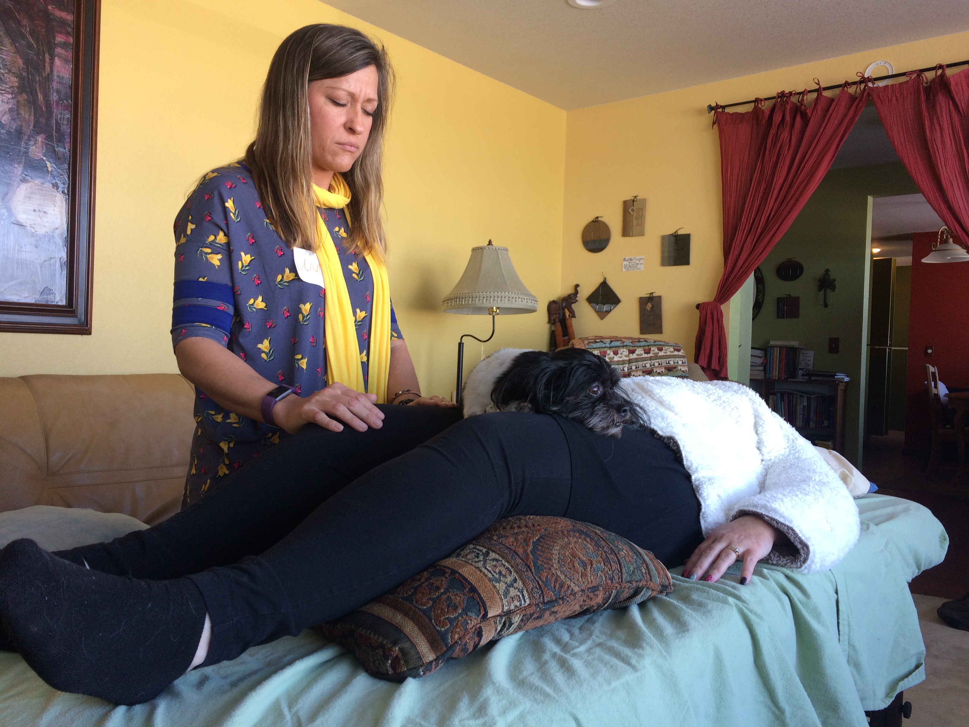 A DIVINE Reiki Beginning, Class – Rain Shadow Reiki