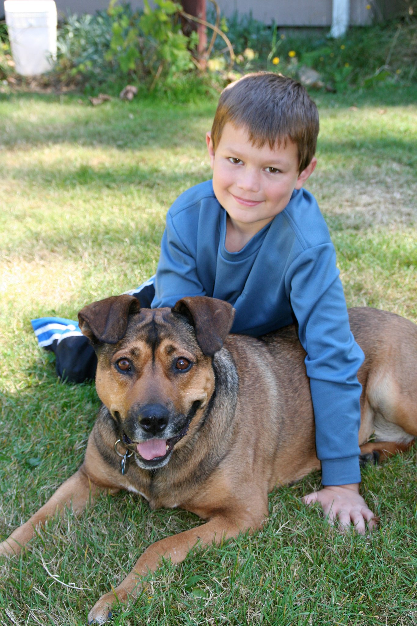 Pet Attunements & Ode to Mandy the Magnificent Reiki Dog – Rain Shadow ...